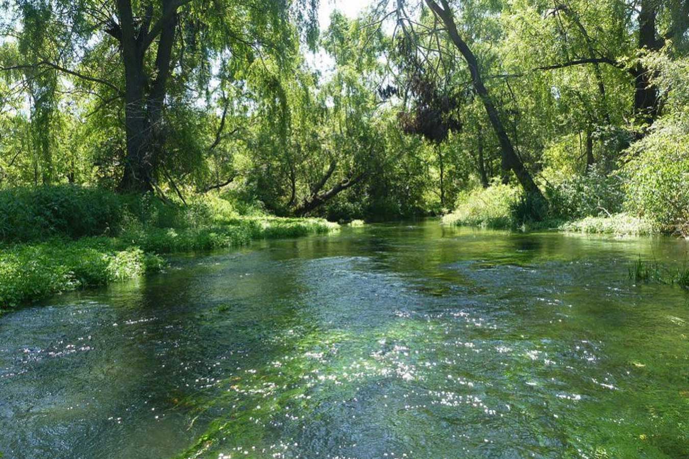 Pollution in England’s Rivers Has Got Worse in Past Decade