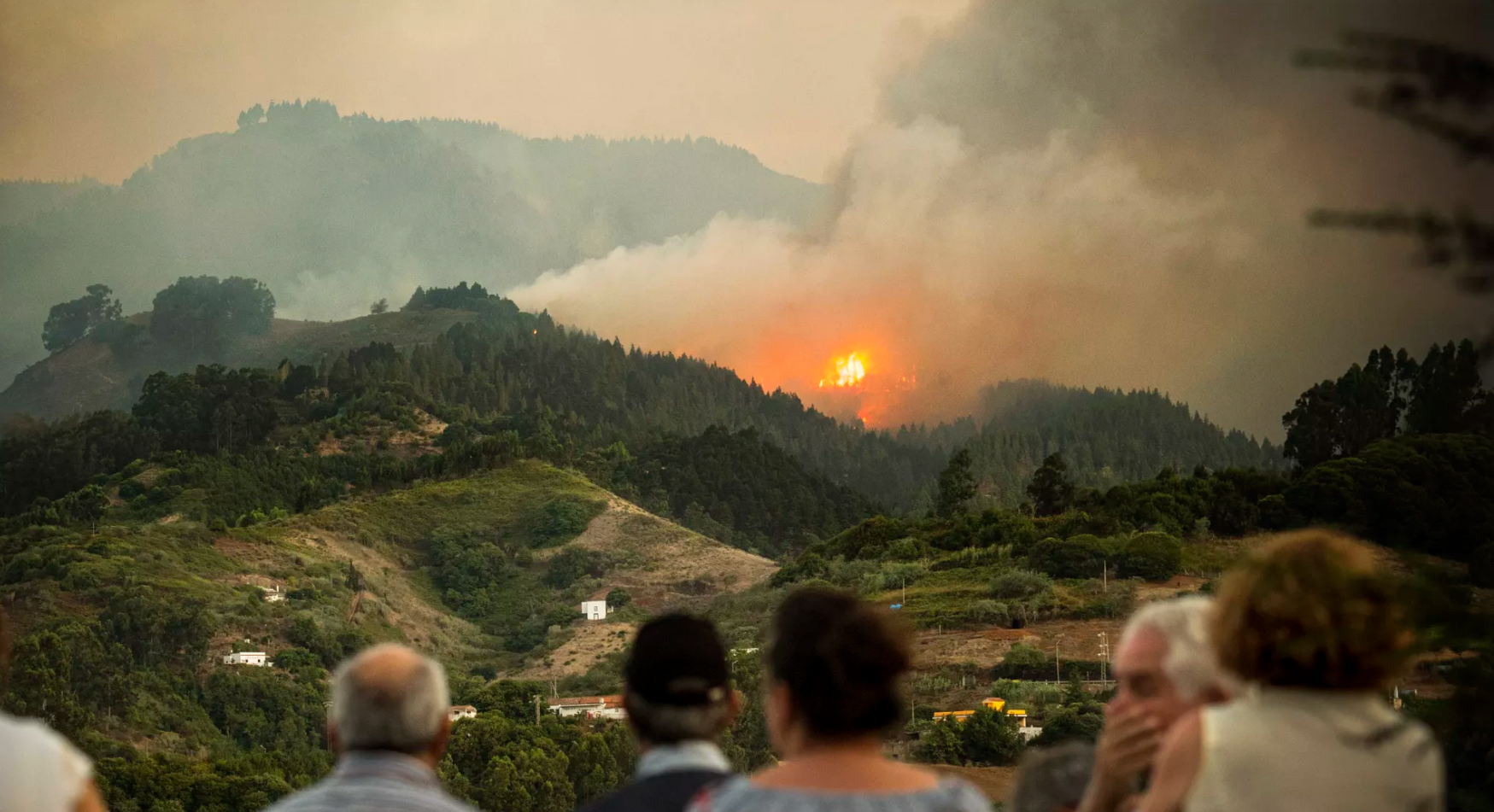 Increased Deforestation of the Amazon Causing Unprecedented Wildfires
