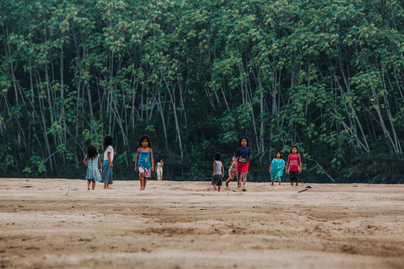 Amazon Rainforest is Fast Approaching “Tipping Point”