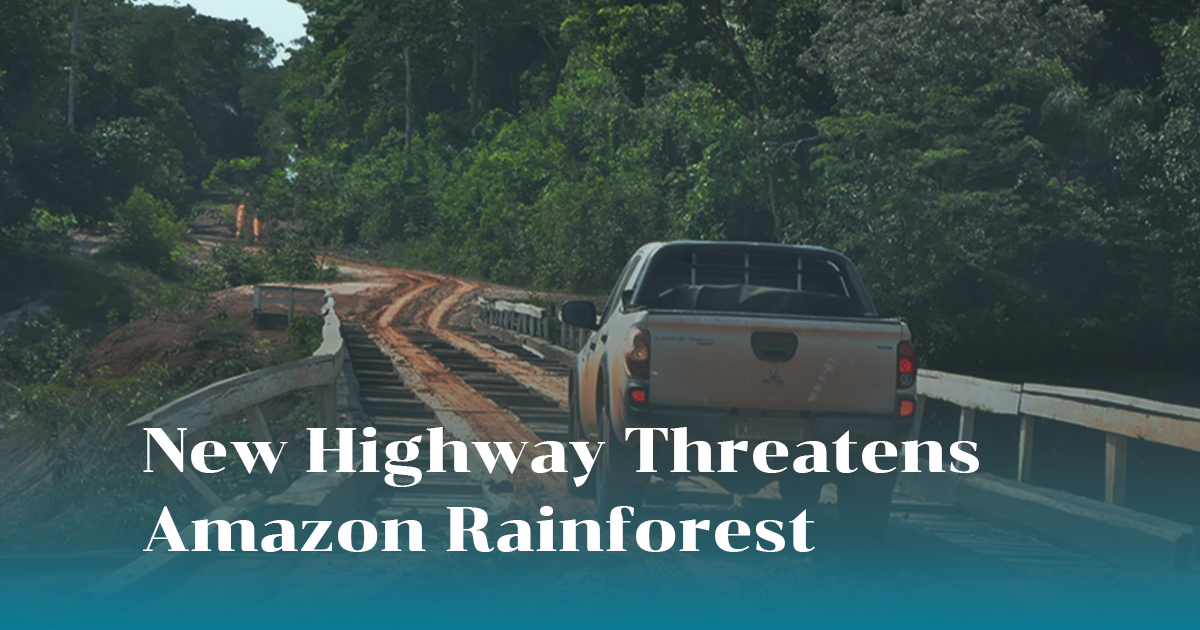 Repaving Highway May Usher in Mass Development in Amazon Rainforest